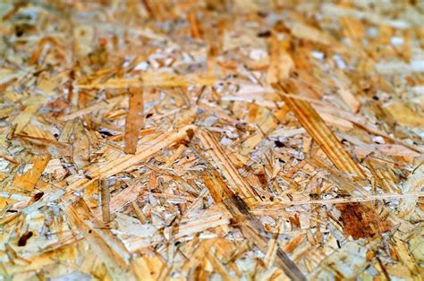 Plywood Types ⋆ 🌲