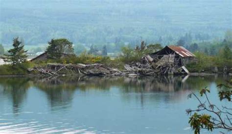10 Abandoned Places In Washington
