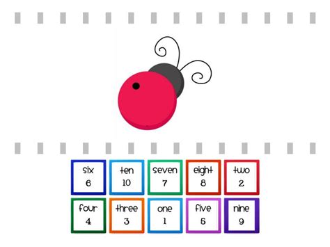 The Grouchy Ladybug Math Find The Match