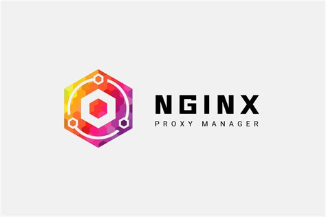 Debian 12 Ubuntu 2204 安装 Npm（nginxproxymanager）反向代理神器教程 兔哥博客
