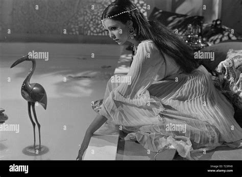 Arabian Adventure Emma Samms Date Stock Photo Alamy