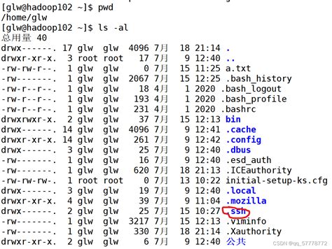 Hadoop Ssh免密登录hadoop配置ssh免密登录 Csdn博客