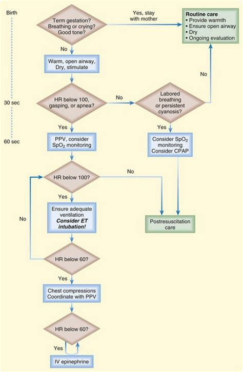 Neonatal Resuscitation Algorithm 2020