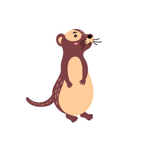 Pocket Gopher Illustrations Royalty Free Vector Graphics And Clip Art Istock