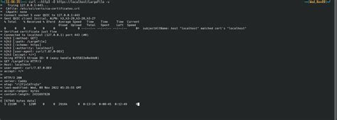 can t download big files by using quiche integrated with curl · issue
