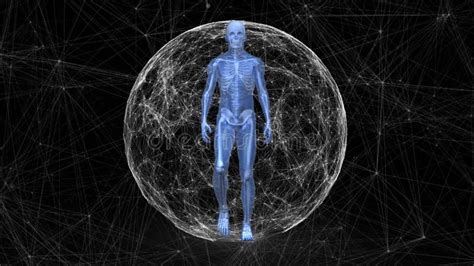 Animation Of Network Of Connections With Globe Over Digital Human Stock Video Video Of