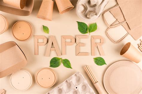 텍스트 Paper가있는 밝은 배경 위에 종이기구 거리 식품 지속 가능한 종이 포장 환경 친화적 인 식품 용기 컵 접시 및 종이 봉지 흑백 플랫 레이 스타일 0명에 대한 스톡