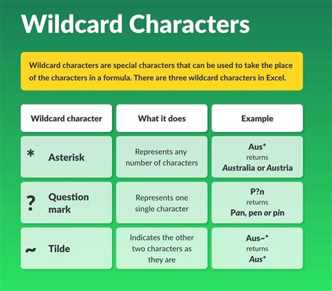 Data Wildcard Characters Excel Spreadsheet