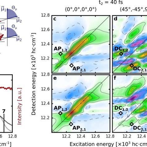 Linear And Nonlinear Spectra Of The Fmo Complex At 77 K A Schematic
