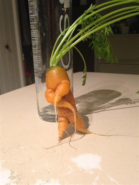 Turnip The Beet Meme Guy