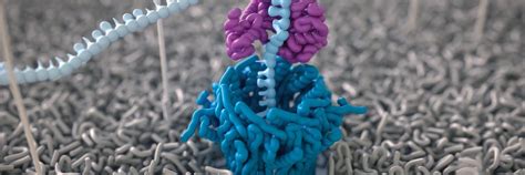 Squigglefilter An Accelerator For Portable Virus Detection