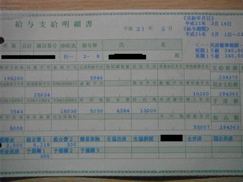 国家公務員の給与明細 平成21年2月分採用3年2ヶ月目の給与明細