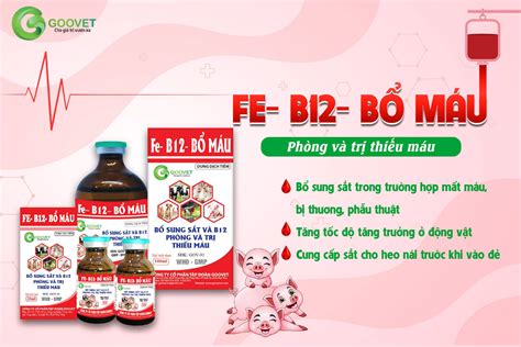 Thu C Ti M B Sung S T Cho L N Con T T Nh T