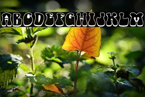 Retrotype Font FFonts Net