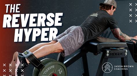 Reverse Hyperextension How To Benefits Variations Muscle 56 Off