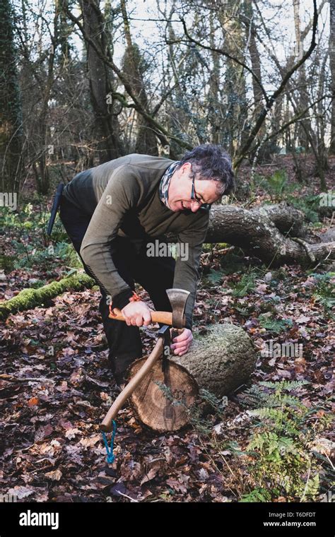 Man Standing In Forest Using Axe And Hatchet To Split Tree Trunk Stock Photo Alamy