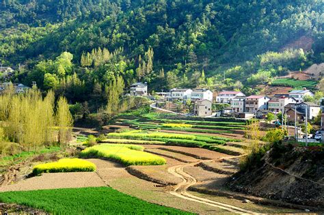 新农村风貌高清图片下载 正版图片501334464 摄图网