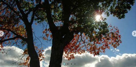 Simple Fade Slideshow Banner Slider Demo