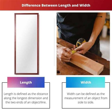 What Is Length Vs Width At Natasha Pruitt Blog