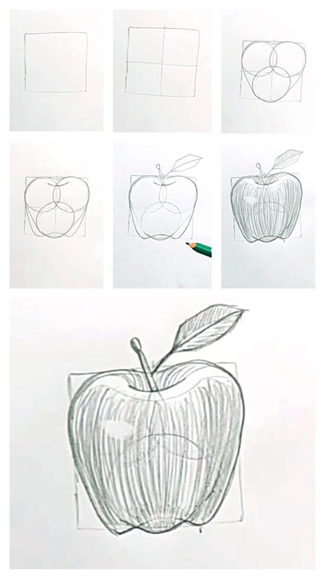 How To Draw An Apple Tutorial Step By Step Artofit