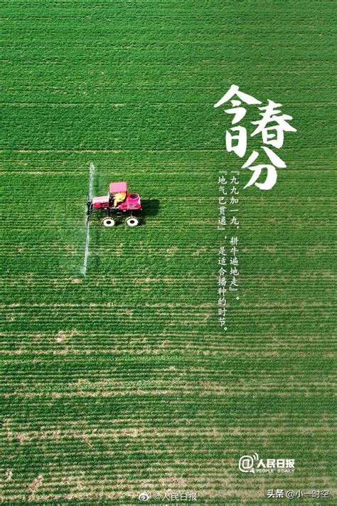 今日春分春来疫去万物可期春分古诗人民日报抗疫九图 搜狐大视野 搜狐新闻