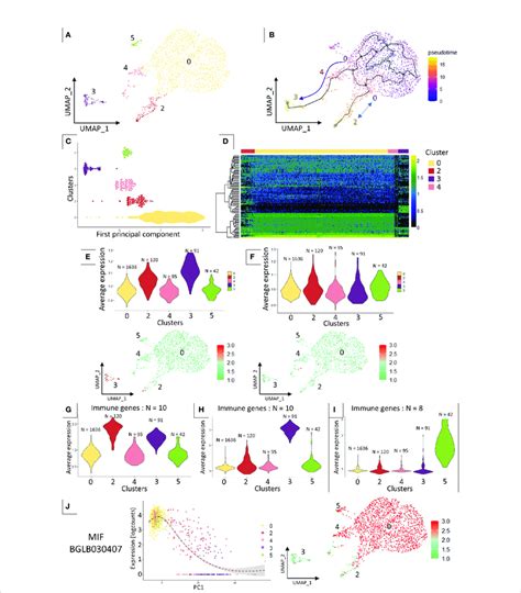 A Umap Representation Of Cluster 5 Identified After Removing Clusters Download Scientific