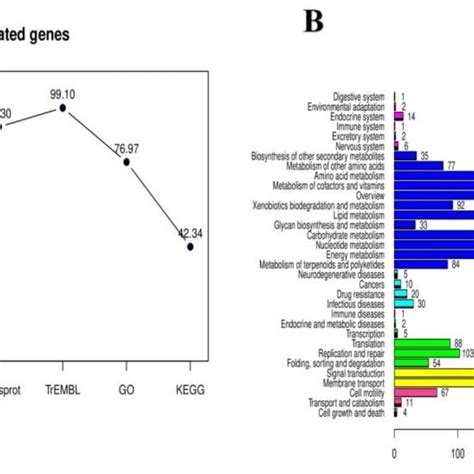 Functional Analysis Of Gene And Protein Sequence Annotations From Download Scientific Diagram