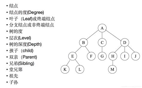 数据结构 第6章 树和二叉树 知识点1 树的概念和术语数据结构教程第6版树知识点汇总 Csdn博客 数据结构 第6章 树和二叉树 知识点1 树的概念和术语数据结构教程第6版树知识点汇总 Csdn博客