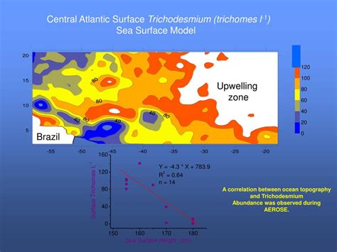 Ppt Trichodesmium Biomass And Nitrogen Fixation Powerpoint