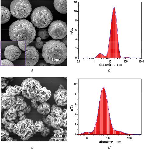 Sem Images And Particle Size Distribution Of Microspheres Prepared By Download Scientific Sem Images And Particle Size Distribution Of Microspheres Prepared By Download Scientific