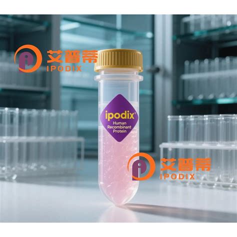 Rnf6抗体rnf6 Antibody—艾普蒂 Chemicalbook