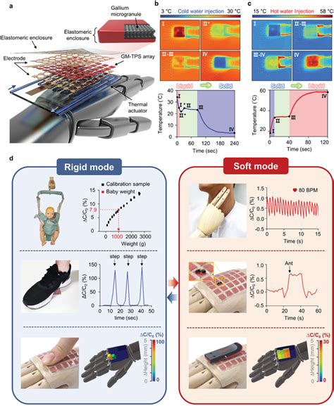 Application Demonstration Of An Adaptive Robotic Skin With Tunable Download Scientific Diagram