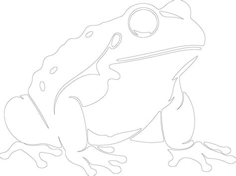 Toad Outline Silhouette 38488315 Vector Art At Vecteezy