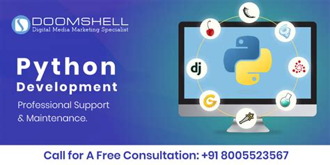 Python Web Developer Ritsolutions