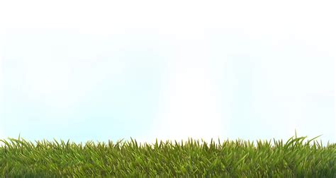 Plants Vs Zombies Battle For Neighborville Playstation