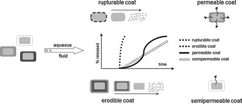 Outline Of The Performance Of Coated Delivery Systems For Oral Download Scientific Diagram