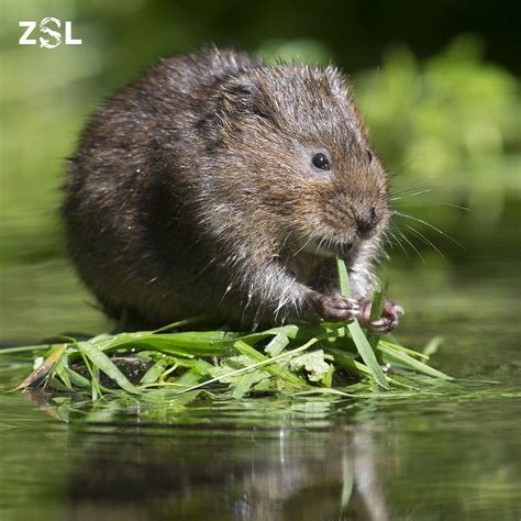 Sam Facey Posted On Linkedin