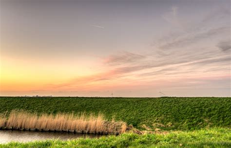 Green Grass Field During Sunset Hd Wallpaper Wallpaper Flare