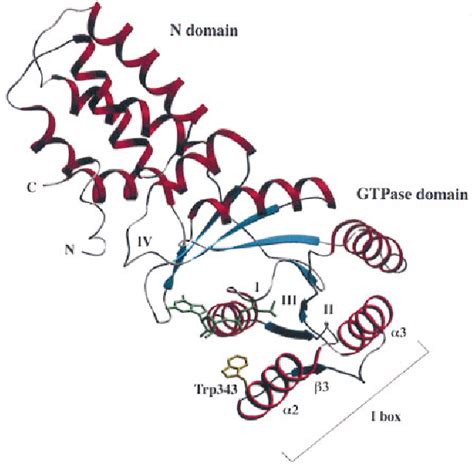 figure 1 from the signal recognition particle receptor of escherichia
