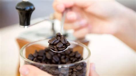 Jenis Jenis Biji Kopi And Pilihan Terbaik Untuk Café Coffee Shop Tantri