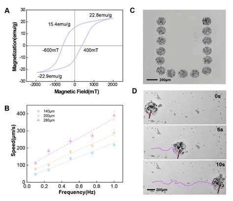 magnetic control of the magnetic ecm mimicking microrobot under a