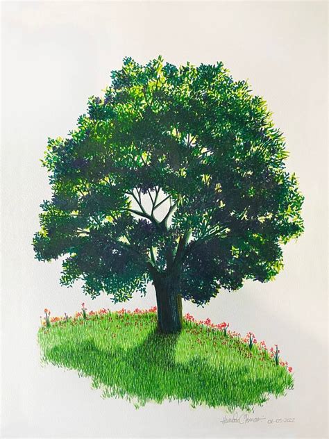 Incredible Collection Of Full 4k Tree Drawing Images Over 999