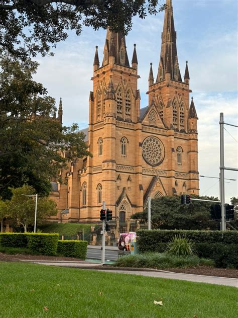 [시드니여행 1일차①] 시드니공항입국기 하이드파크 세인트메리대성당 네이버 블로그