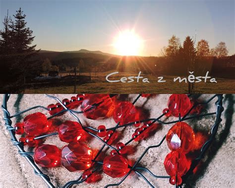 Zelkaoriginal Zelkaoriginal Added A New Photo