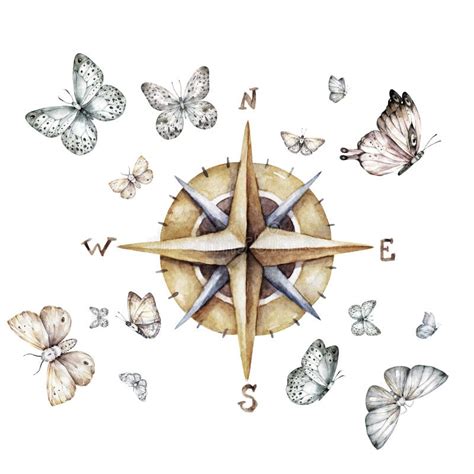 Compass And Flying Butterflies Watercolor Illustration Symbols