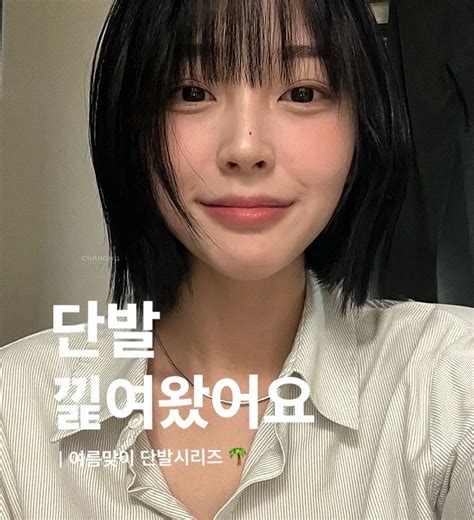 차홍아르더 청담점 장서아 단발 중단발 레이어드펌 중단발은 요렇게 🚗 부담스럽지 않게 가벼운 중단발 레이어드 윈드펌과 지루해진 미디움 기장에 카민레드 포인트 ⋆⋆⚝