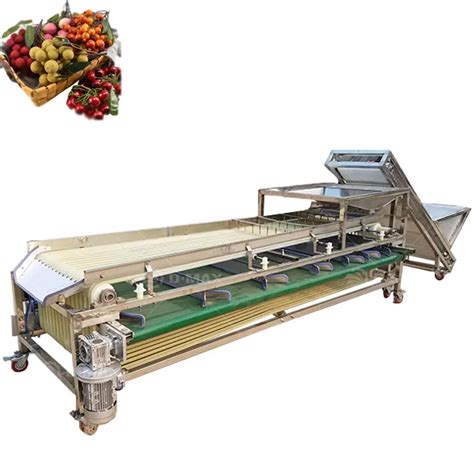Automatic Dates Grading Sorting Machine Auto Medjool Date Size Small