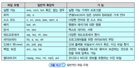 파일과 파일 시스템