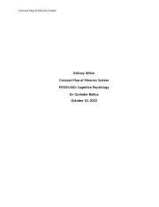 Understanding Memory Systems Concept Map Exploration Course Hero