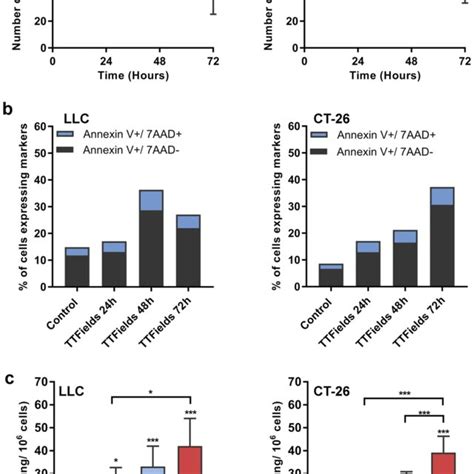 Ttfields Kill Cancer Cells By Triggering Apoptosis Followed By Download Scientific Diagram